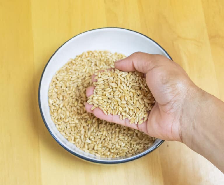 How to cook wheat berries? (without soaking) - Flavours Treat