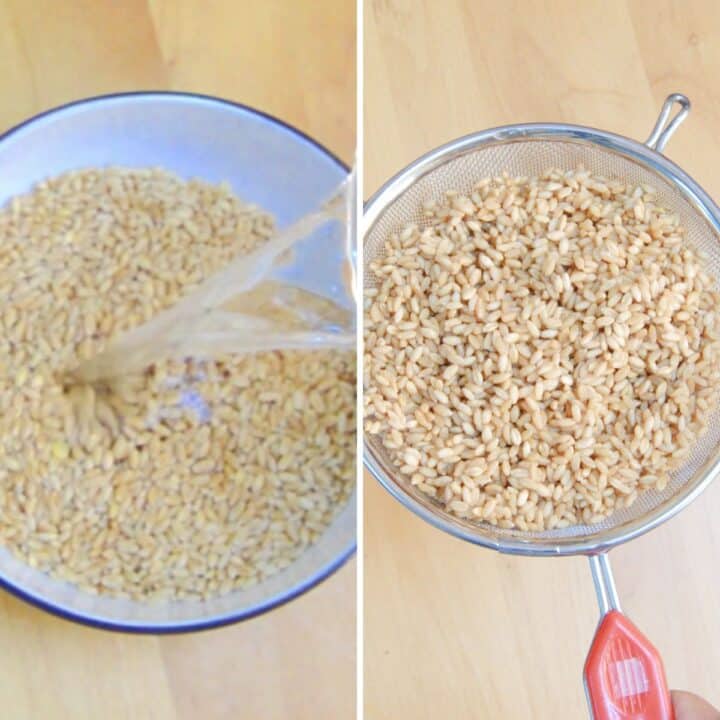 How to cook wheat berries? (without soaking) - Flavours Treat