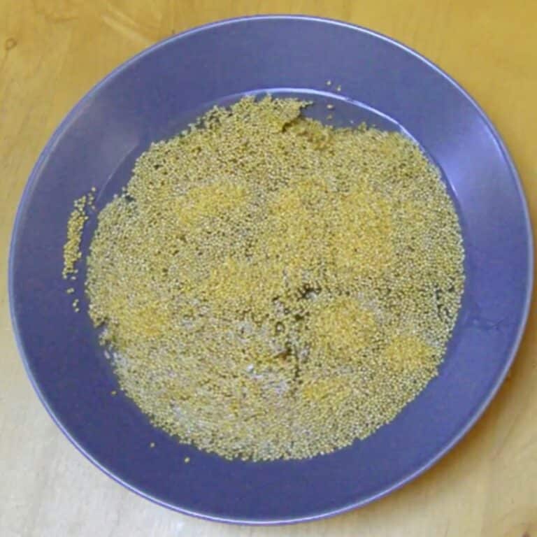 Easy Instant Pot Millet Porridge - Flavours Treat