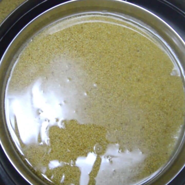 How to Cook Millets in Instant Pot - Flavours Treat