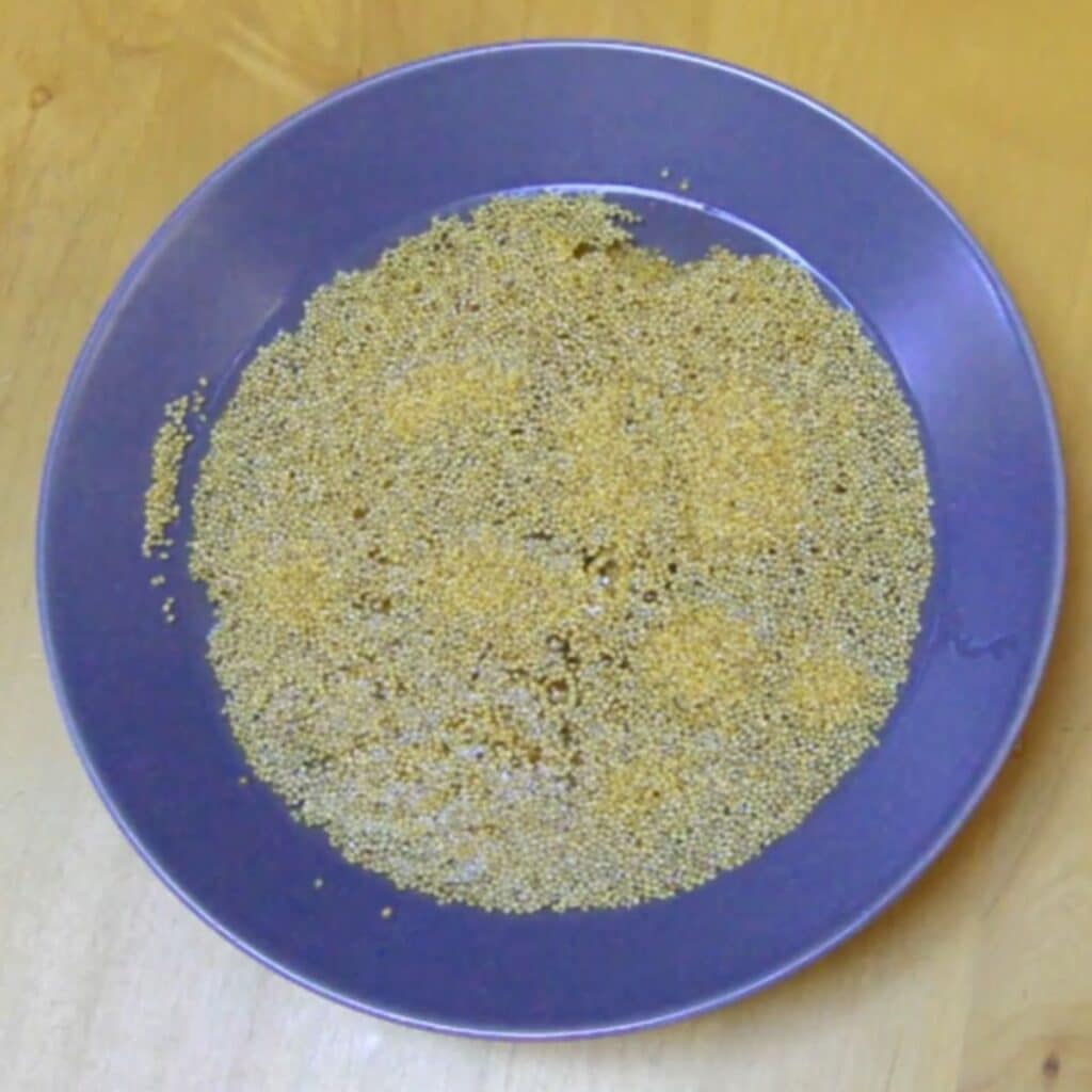 How to Cook Millets in Instant Pot - Flavours Treat