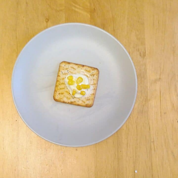 Kid Friendly Cracker Canapes - Flavours Treat