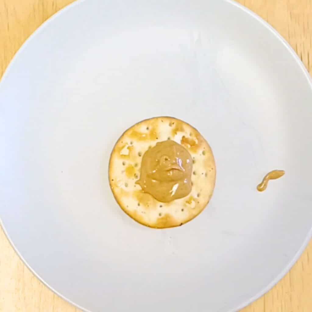 Kid Friendly Cracker Canapes - Flavours Treat