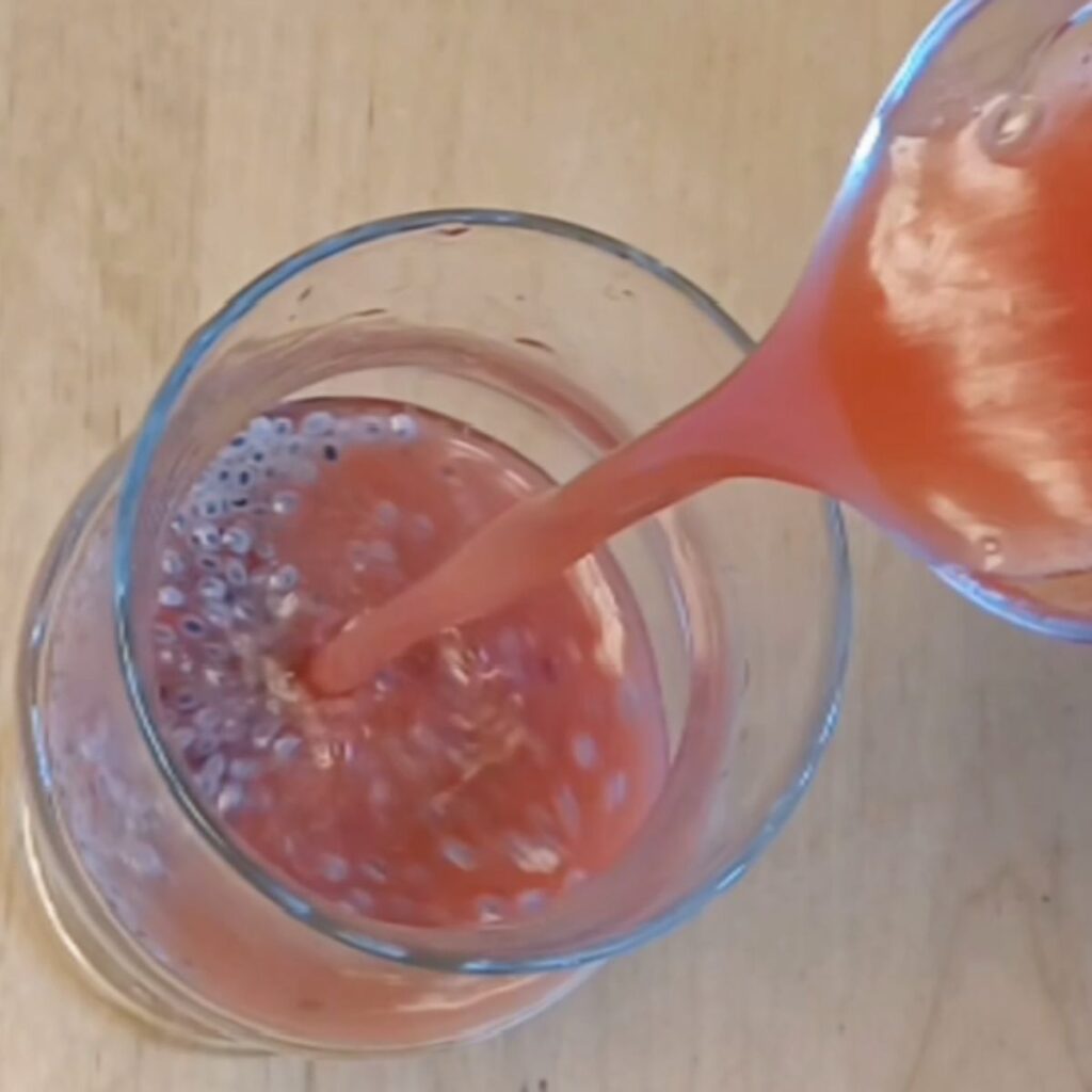 Watermelon Cooler with Basil Seeds - Flavours Treat